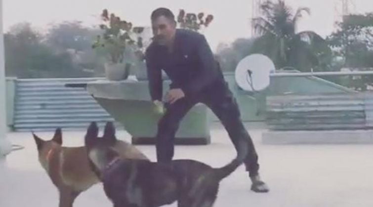 WATCH - MS Dhoni Cherishes The Unconditional Love At Home