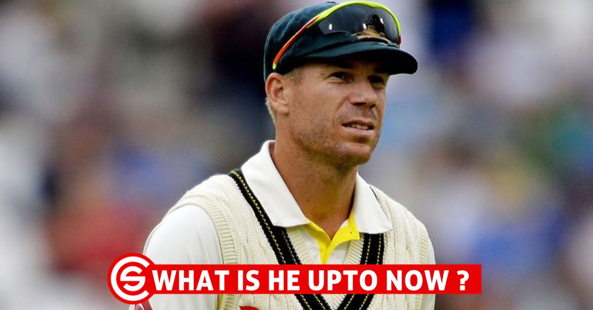 WATCH - David Warner Busy In Constructing His New House In Sydney