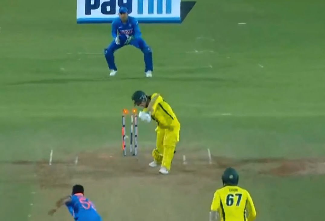 WATCH - Vijay Shankar Bowled A Brilliant Final Over