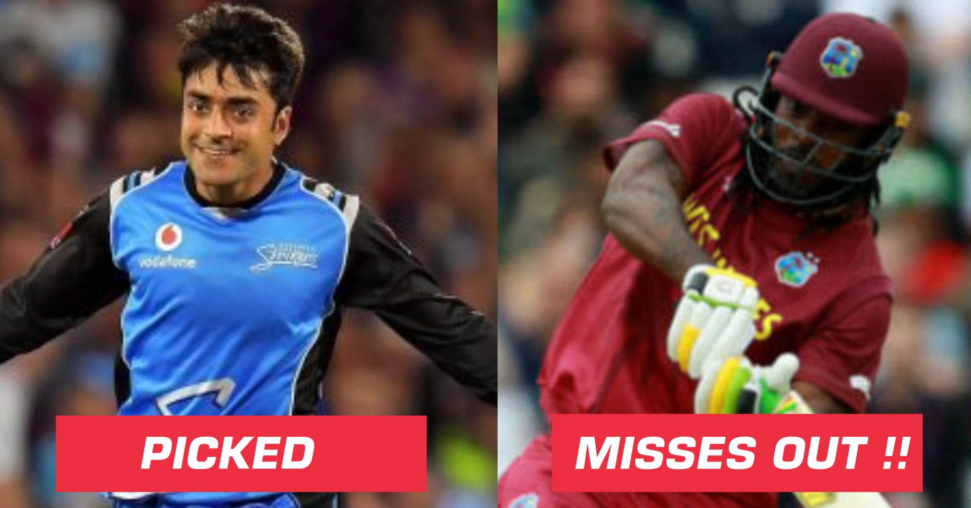 Rashid Khan Selected at First Pick in Hundred Draft, Chris Gayle Misses Out