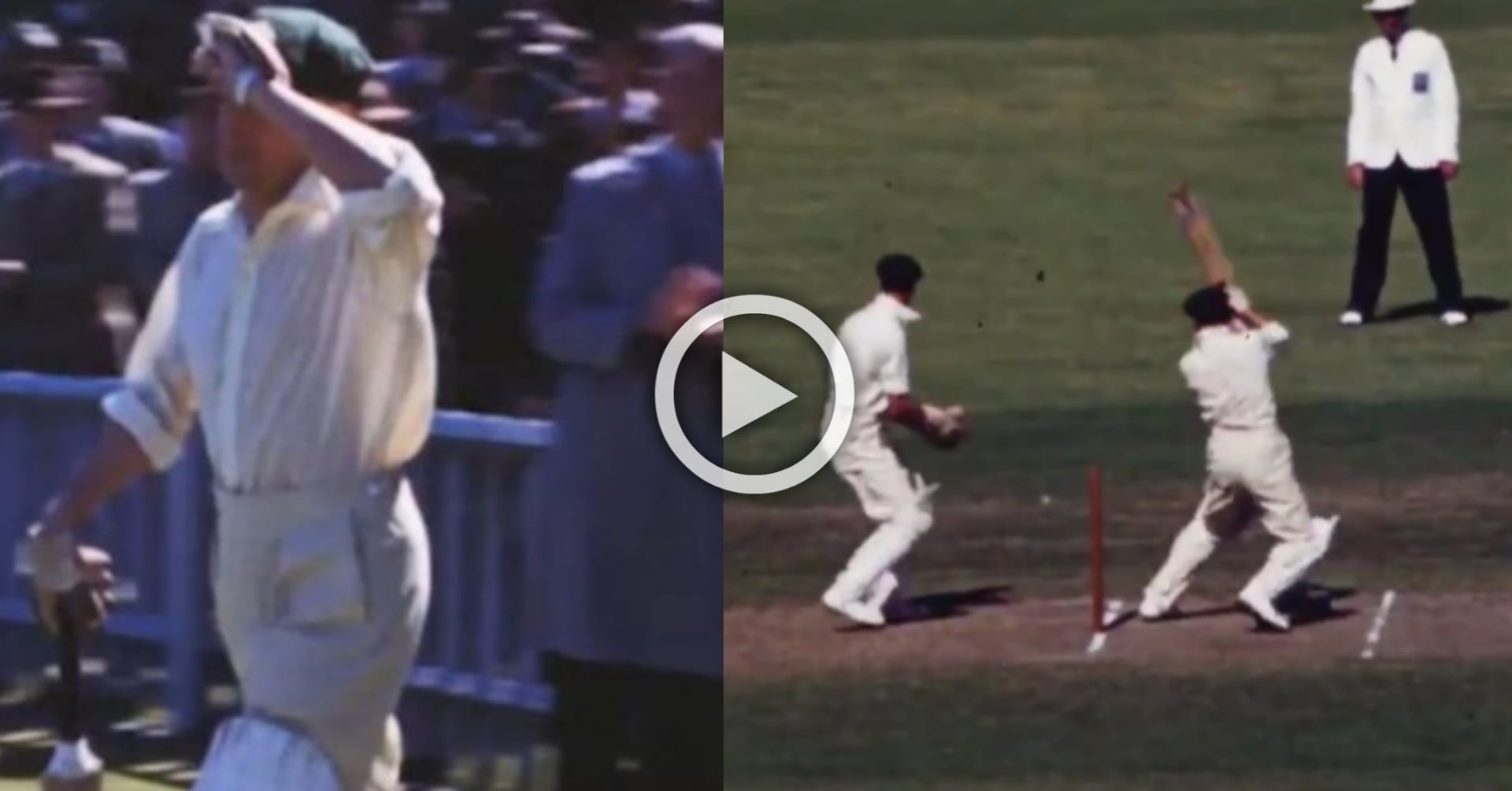 WATCH - Color Footage Of Don Bradman Batting Found After 71 Years