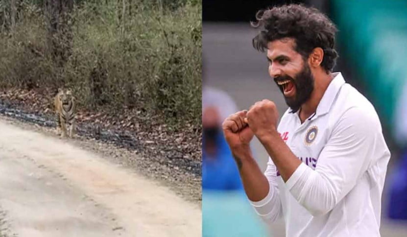 Ravindra Jadeja Finds Someone Special To Wish Him Speedy Recovery