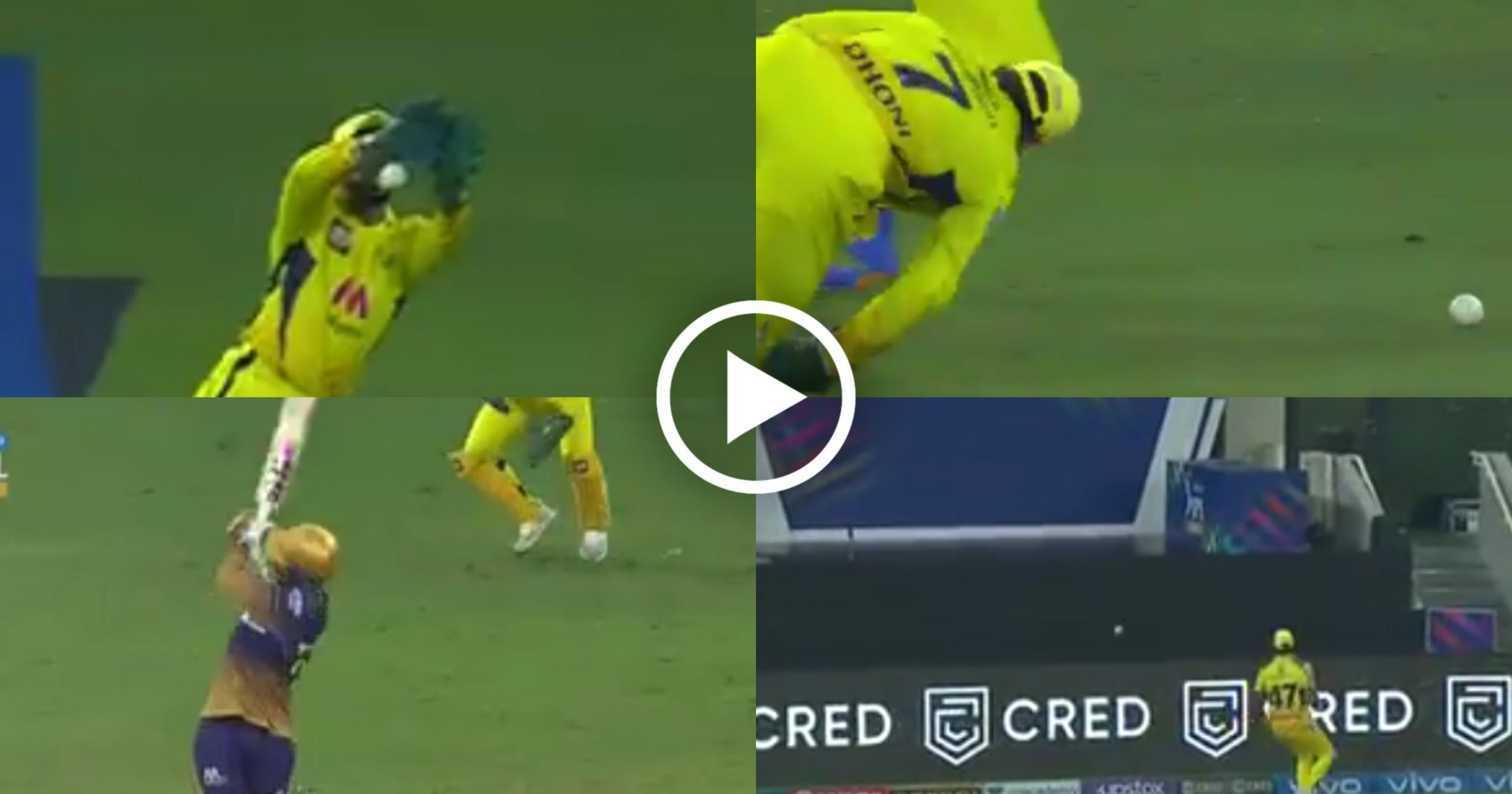 IPL 2021 Final: Watch: MS Dhoni Drops Venkatesh Iyer, Who Punishes CSK ...
