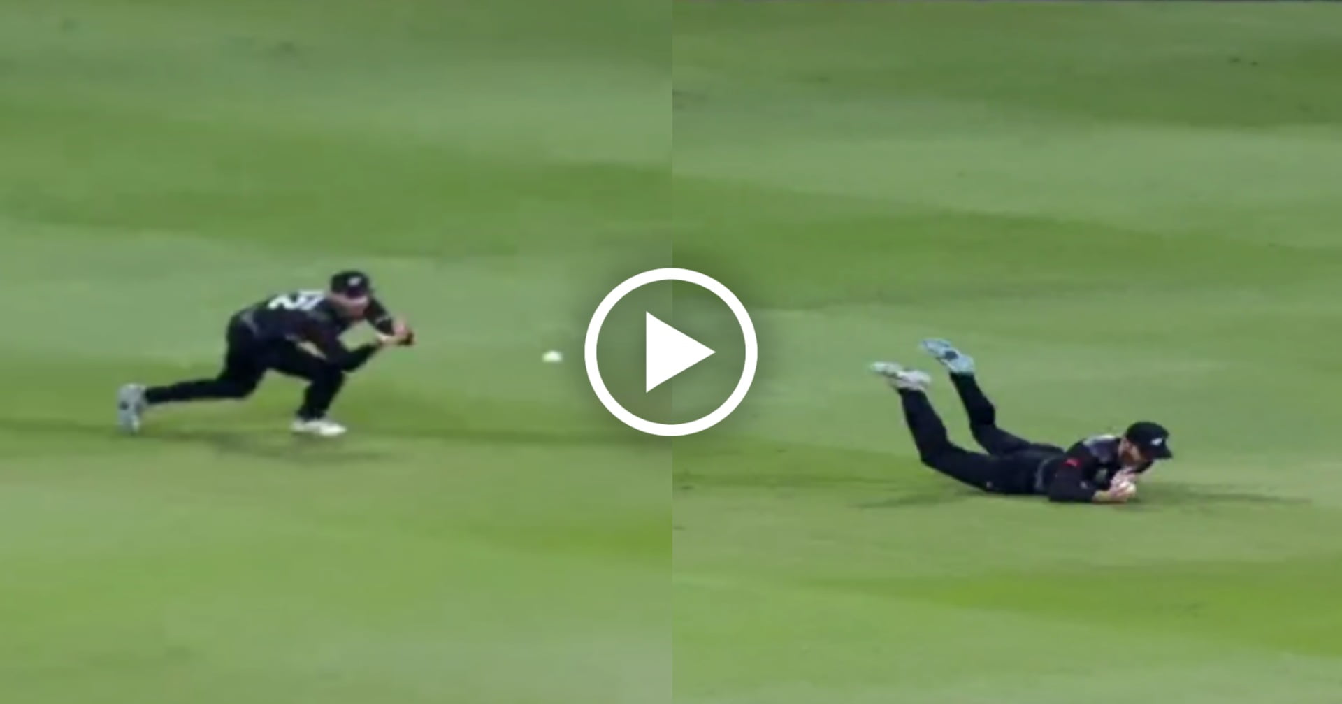 T20 WC: Watch: Kane Williamson Takes Stunning Catch To Dismiss Jonny Bairstow