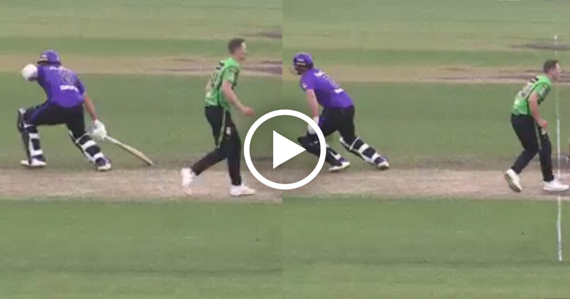 Tim David Earns 5 Penalty Runs After A Deliberate Short-run In BBL