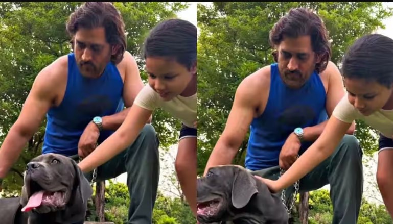 MS Dhoni's Playful Moments With Daughter Ziva And Pet Dogs