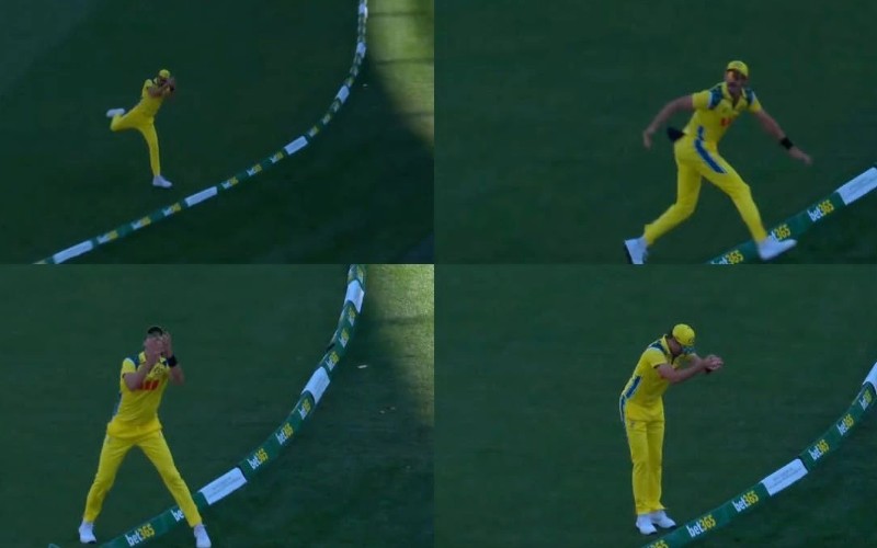 Mitchell Starc Pulls Off Stunning Boundary Catch To Dismiss Axar Patel