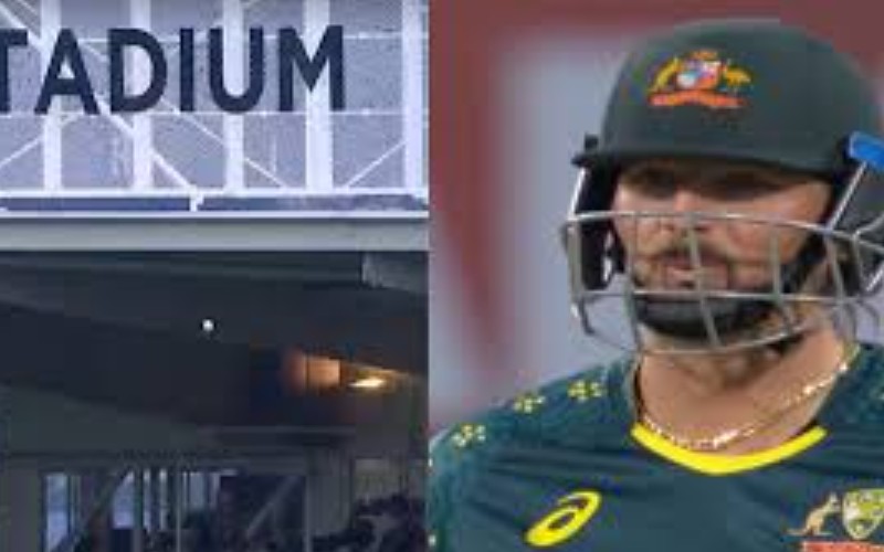 Tim David’s Massive Six Lands On Bellerive Oval Roof In Hobart