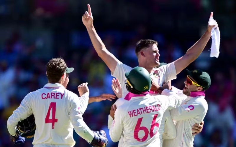 Beau Webster Turns Spinner To Dismiss Harry Brook In Game-Changing ...